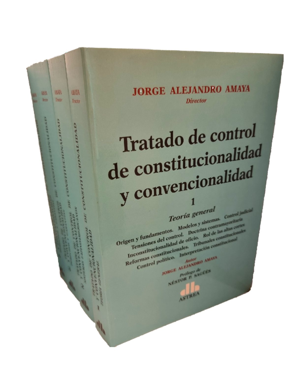 Tratado de control de constitucionalidad y convencionalidad – Poder ...